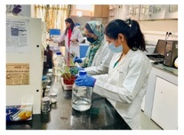 Welcome to Jamia Millia Islamia - A Central University