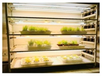 Welcome to Jamia Millia Islamia - A Central University